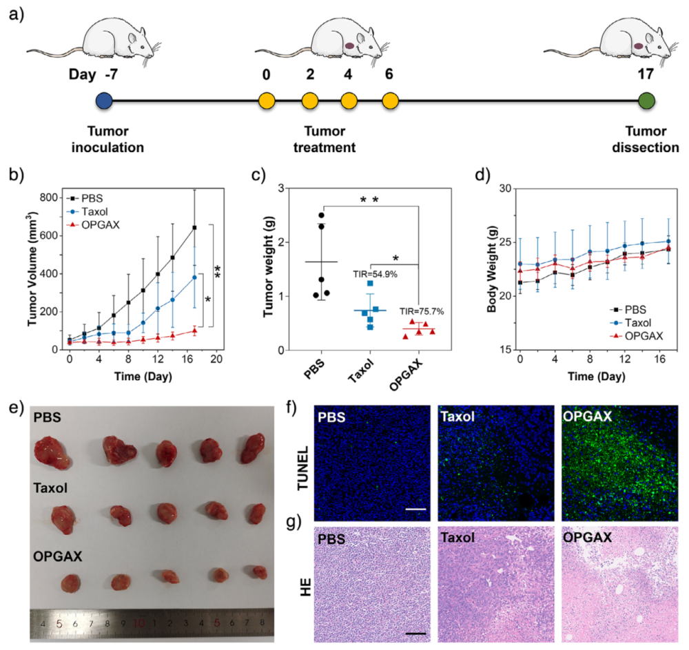 唐本忠院士团队Angew：自组装纳米复合物实现NIR-II成像与跨细胞肿瘤治疗_腾讯新闻