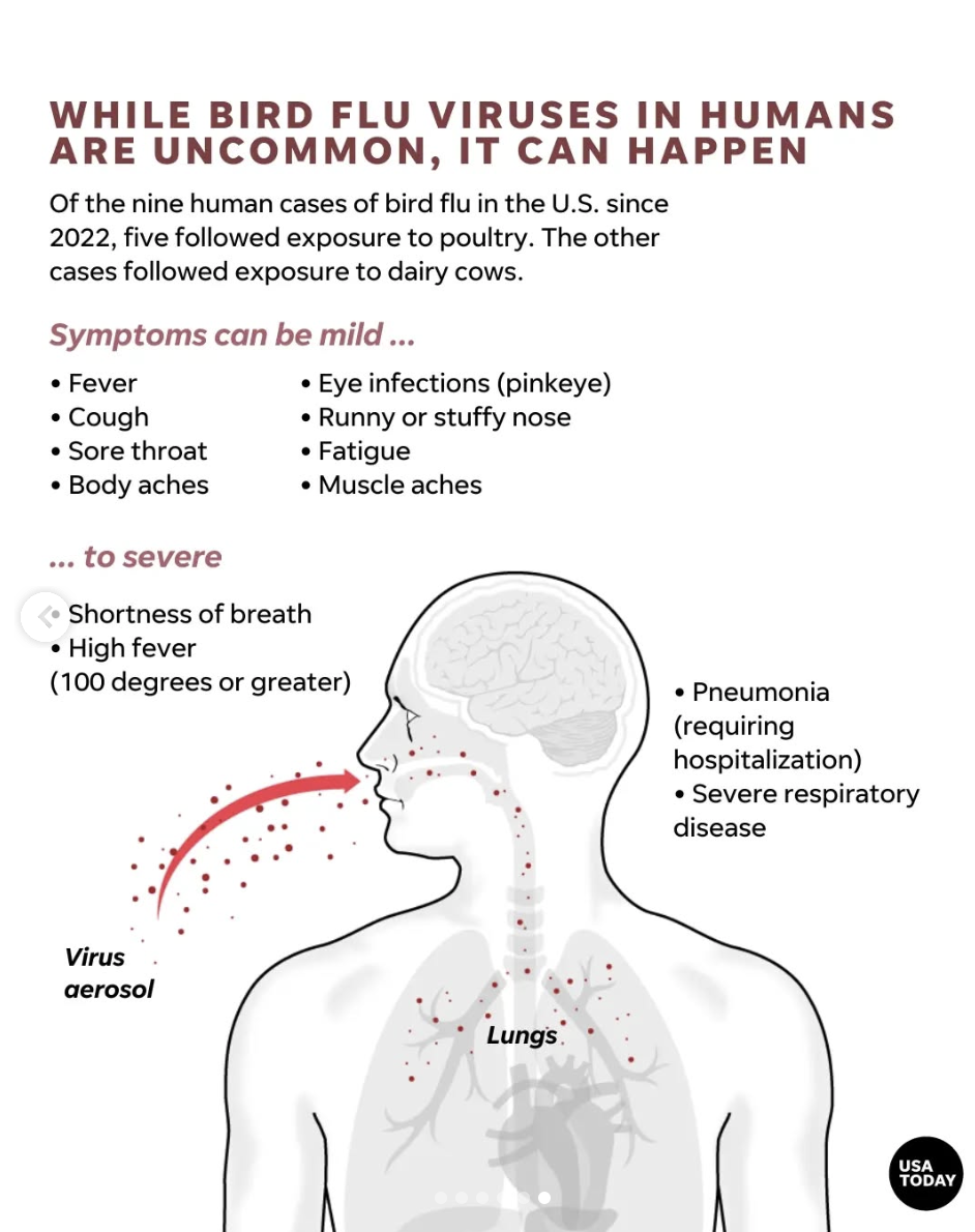 美国首现H5N1重症病例，前CDC主任警告禽流感比新冠肺炎更具破坏性_腾讯新闻