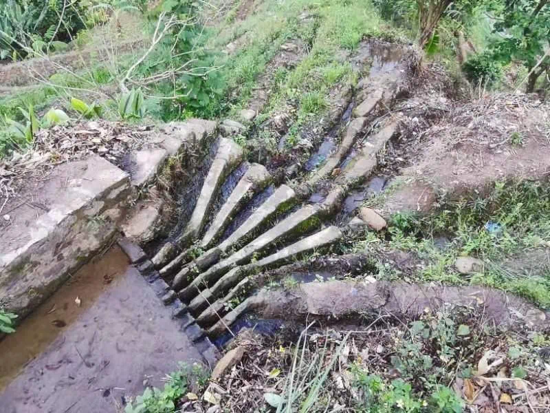 全球首个！“三遗产”加身的元阳哈尼梯田背后的千年守望_腾讯新闻