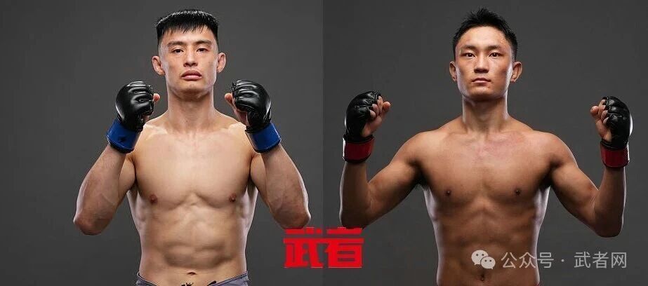 茸主因伤退出UFC 325期比赛_腾讯新闻