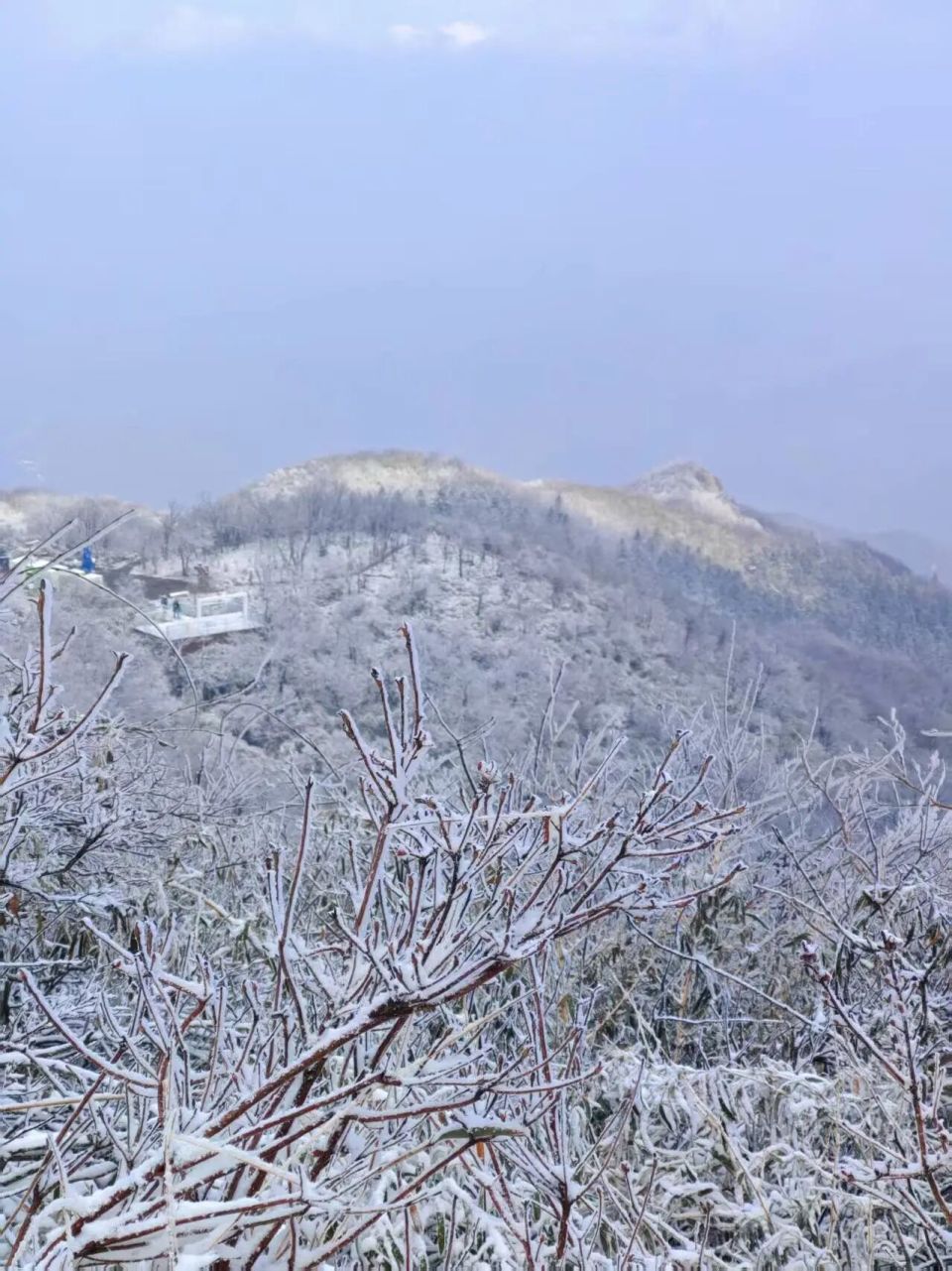 杭州又下雪了，这次范围更大！明早接近0℃，出门裹严实些！_腾讯新闻