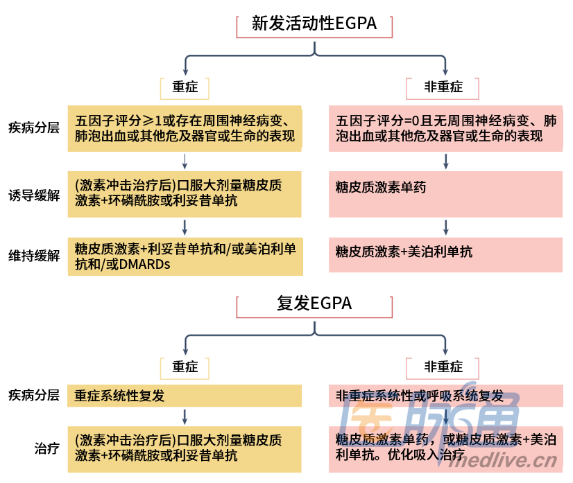首部《EGPA诊断和治疗循证指南》16项声明＋5项总体原则速看！｜指南共识_腾讯新闻