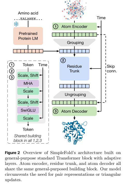 让模型直接“画”出蛋白质折叠，苹果推出SimpleFold通用预测模型，对标AlphaFold2_腾讯新闻