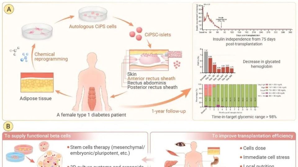 The Innovation Life | Split-HaloTag：为细胞生理活动的精准记录提供新方案_腾讯新闻