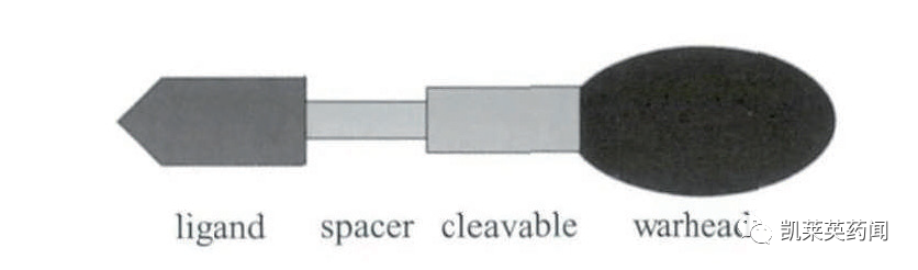 全球首款！同宜医药双配体偶联药物CBP-1008获FDA授予快速通道认定_腾讯新闻
