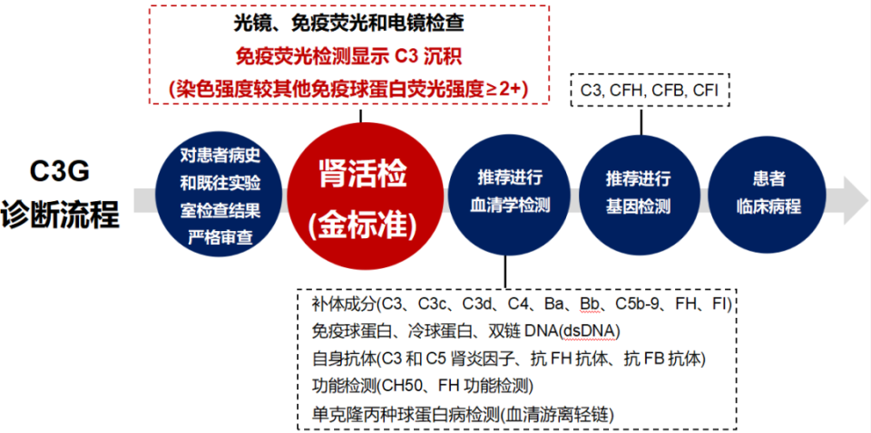 世界肾脏日：聚焦慢性原发性肾小球肾炎C3G，让罕见被看见_腾讯新闻