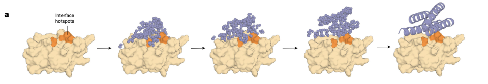 蛋白质binder设计的三代演进：从 Rosetta 到 RFdiffusion_腾讯新闻