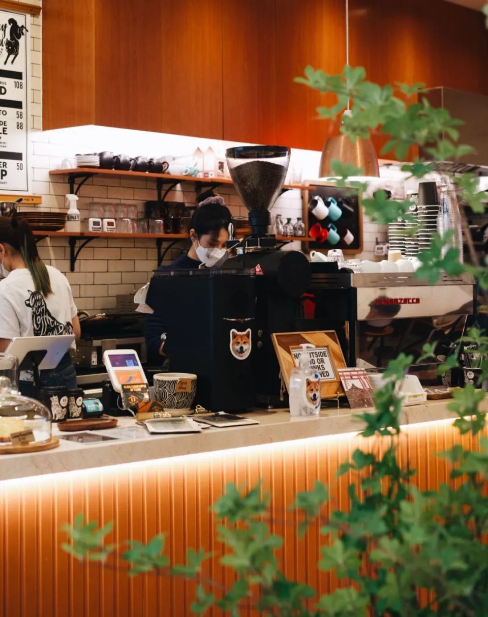 送门票！CAFEEX深圳咖啡展来了！_腾讯新闻