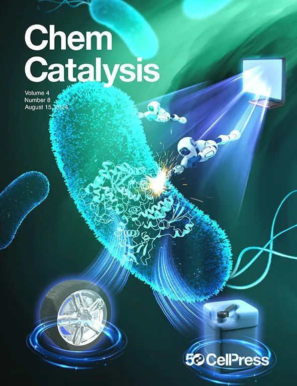 Chem Catal官宣新任主编，来自Joule | 她将带领本刊继续探索催化研究的新兴领域_腾讯新闻