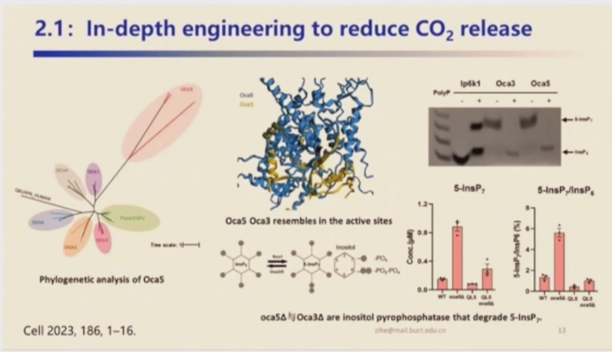 北化刘子鹤：基于酵母的第三代生物炼制_腾讯新闻