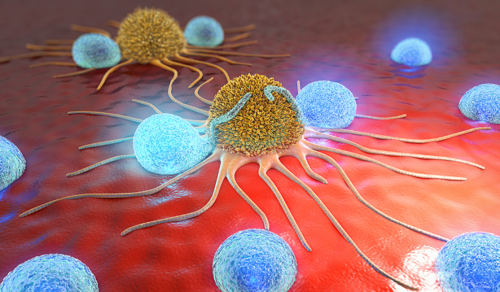 STTT：揭秘肺癌“落户”大脑的神秘手段！中国医学科学院团队发现，LCN2通过调控胶质细胞和肺癌细胞增强肿瘤血管生成，促进脑转移_腾讯新闻