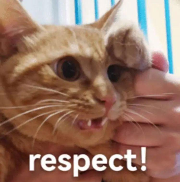 Claude/混元/QwQ/DeepSeek 最全实测+拆解，谁最强谁翻车？_腾讯新闻