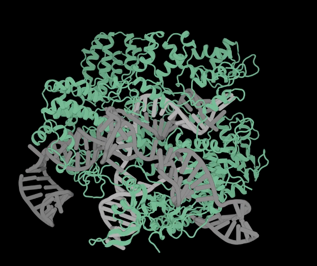 Profluent发布AI设计的基因编辑器，已成功编辑人类基因组_腾讯新闻