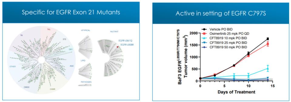 贝达药业超4亿美元licence in！C4T口服BiDAC 降解剂在美国获批开展临床试验_腾讯新闻