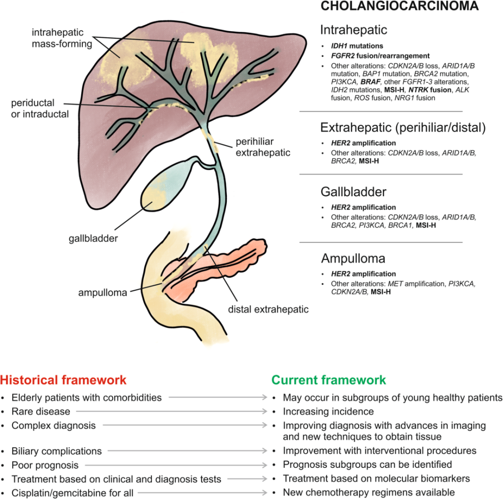 难治性癌种Biomarker探索丨确定胰腺癌和胆道肿瘤的生物标志物_腾讯新闻
