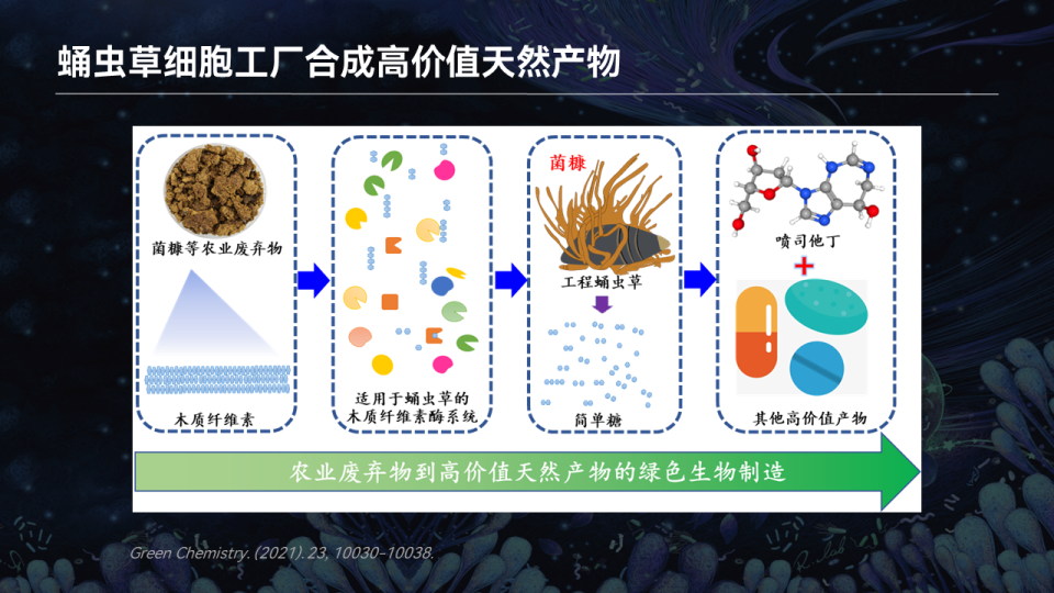 【图文实录】魏勇军：微生物合成中草药活性分子_腾讯新闻