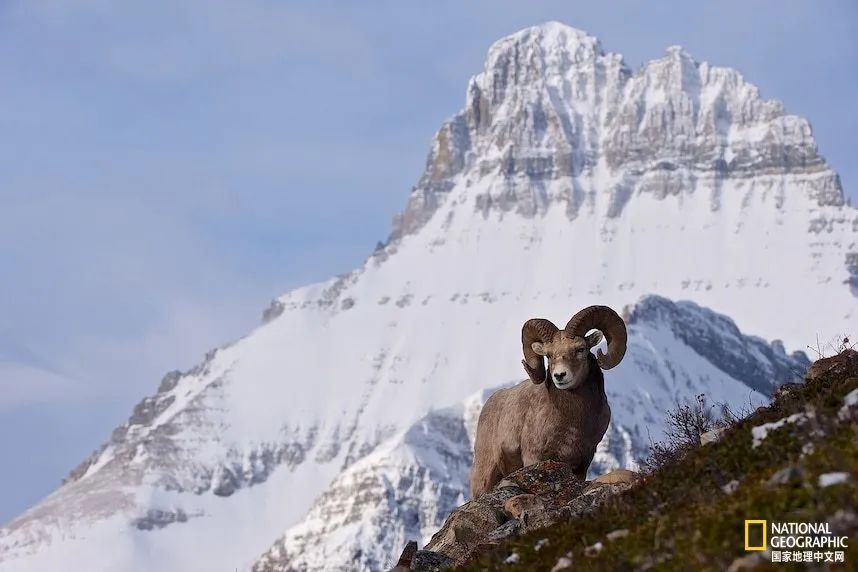 冰川存在200万年，只为打造这个冷酷仙境_腾讯新闻