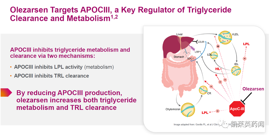 疾病指标降低100%！Ionis反义寡核苷酸疗法Olezarsen的III期临床成功_腾讯新闻