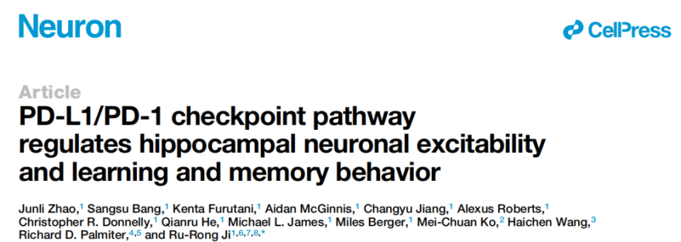 Neuron：纪如荣团队揭示免疫抑制分子PD-1调控海马突触可塑性和学习记忆能力_腾讯新闻