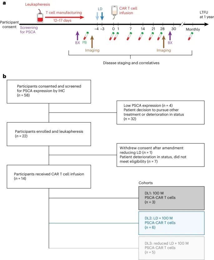 Nature Medicine | 前列腺癌治疗新篇章：PSCA-CAR T细胞疗法1期临床试验揭示初步成效_腾讯新闻