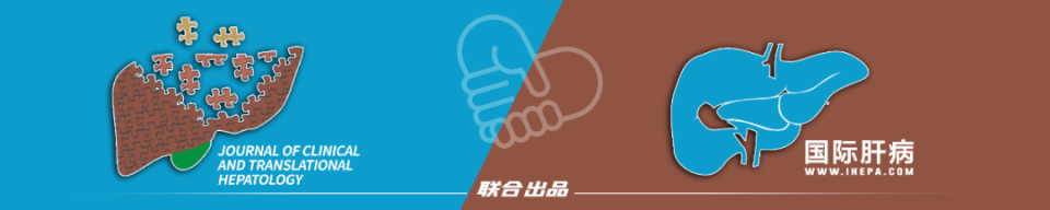 青蒿琥酯：一种通过调控ROCK1/ATF3轴缓解肝纤维化的铁死亡诱导剂_腾讯新闻