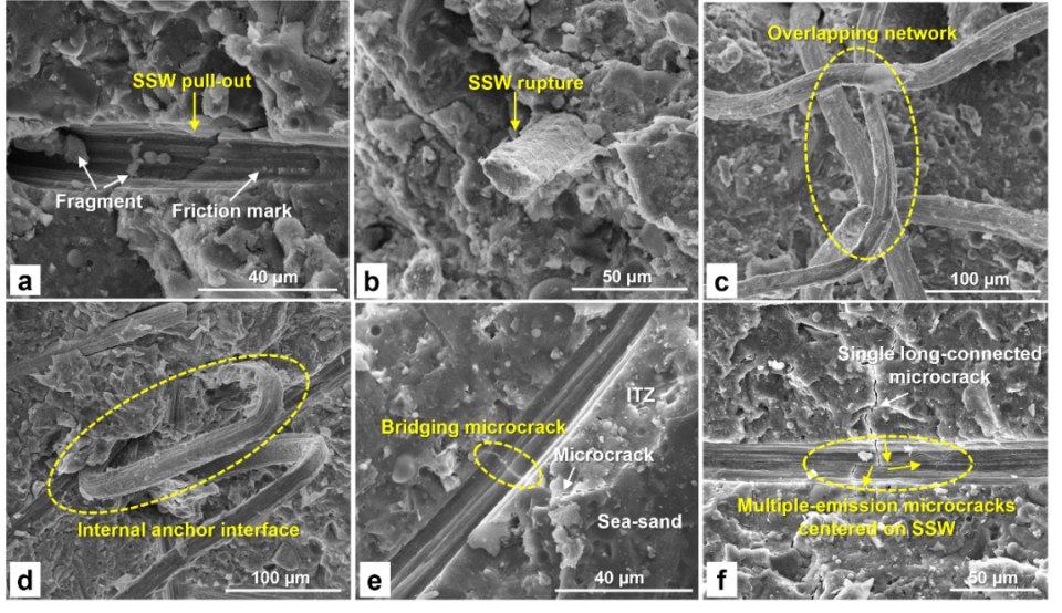 大连理工大学韩宝国教授、董素芬副教授团队论文/超细不锈钢微丝对超高性能海水海砂混凝土力学性能和微观结构的改性作用及机理_腾讯新闻