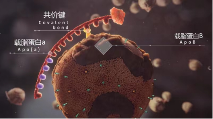 直观进博会 | 诺华创新降脂疗法Pelacarsen首次亮相，聚焦Lp(a)新靶点，助力心脑血管疾病防治_腾讯新闻