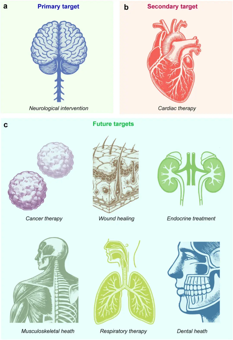 Med-X|美国芝加哥大学Bozhi Tian和Pengju Li教授团队|非遗传性光电调制生物接口在医疗保健中的发展现状与展望_腾讯新闻