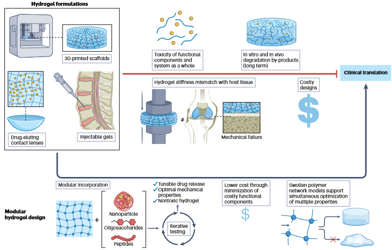 研究进展：水凝胶 | Nature Reviews Bioengineering！_腾讯新闻
