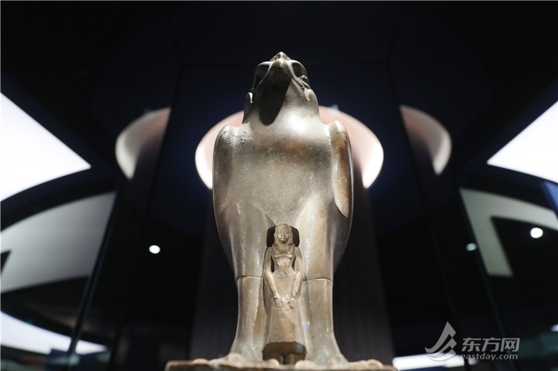 古埃及掌管智慧的神来了！上海博物馆“法老的国度”抢先揭秘| 组图_腾讯新闻