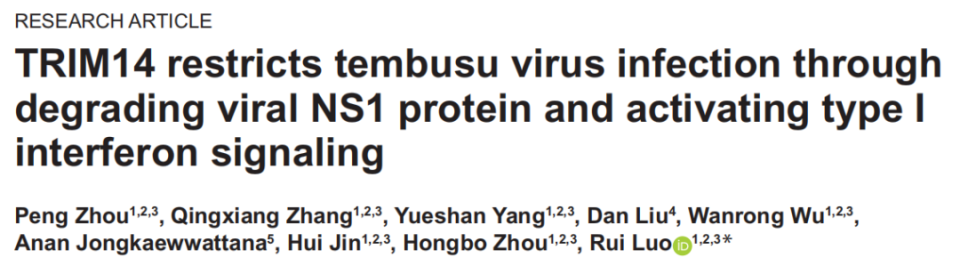 PLoS Pathog | 华中农业大学罗锐团队揭示禽TRIM家族蛋白调控坦布苏病毒复制的分子机制_腾讯新闻