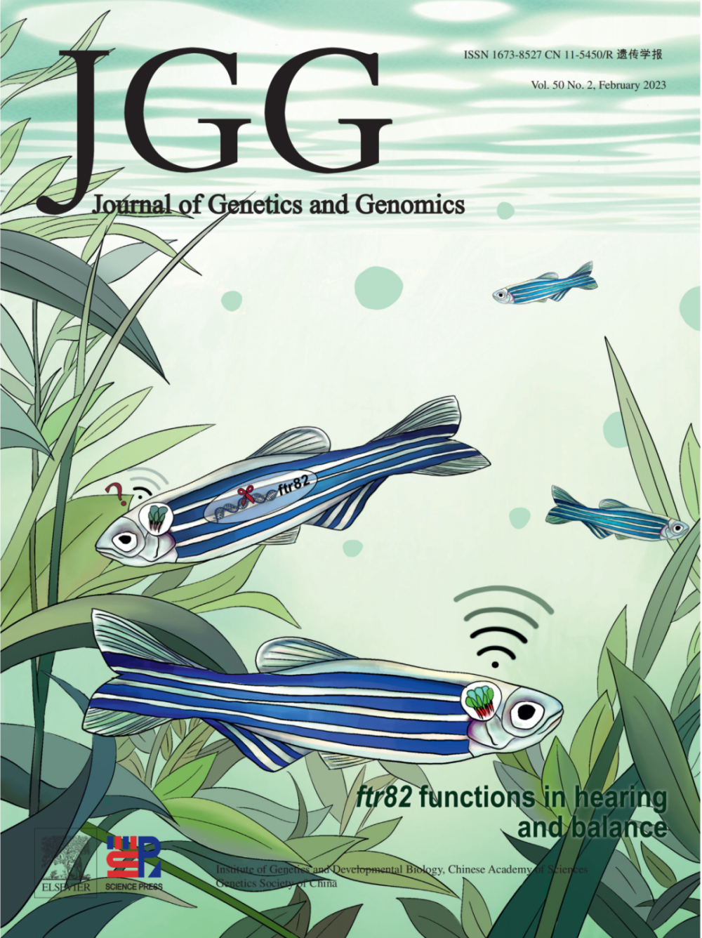 审稿 1 天 - JGG｜杨召辉/陈静团队解析东亚人群肤色变浅的重要遗传机制_腾讯新闻