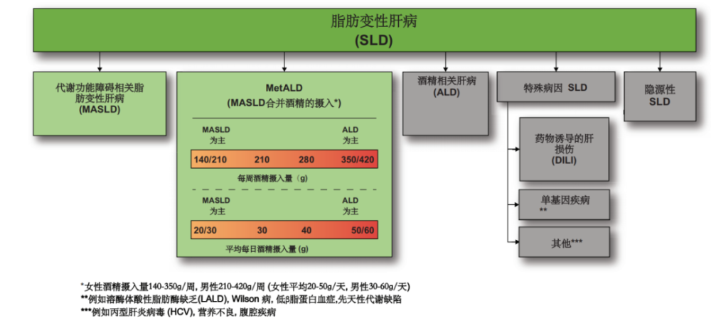 深度阅读丨脂肪性肝病“新命名”的多学会德尔菲专家共识声明_腾讯新闻