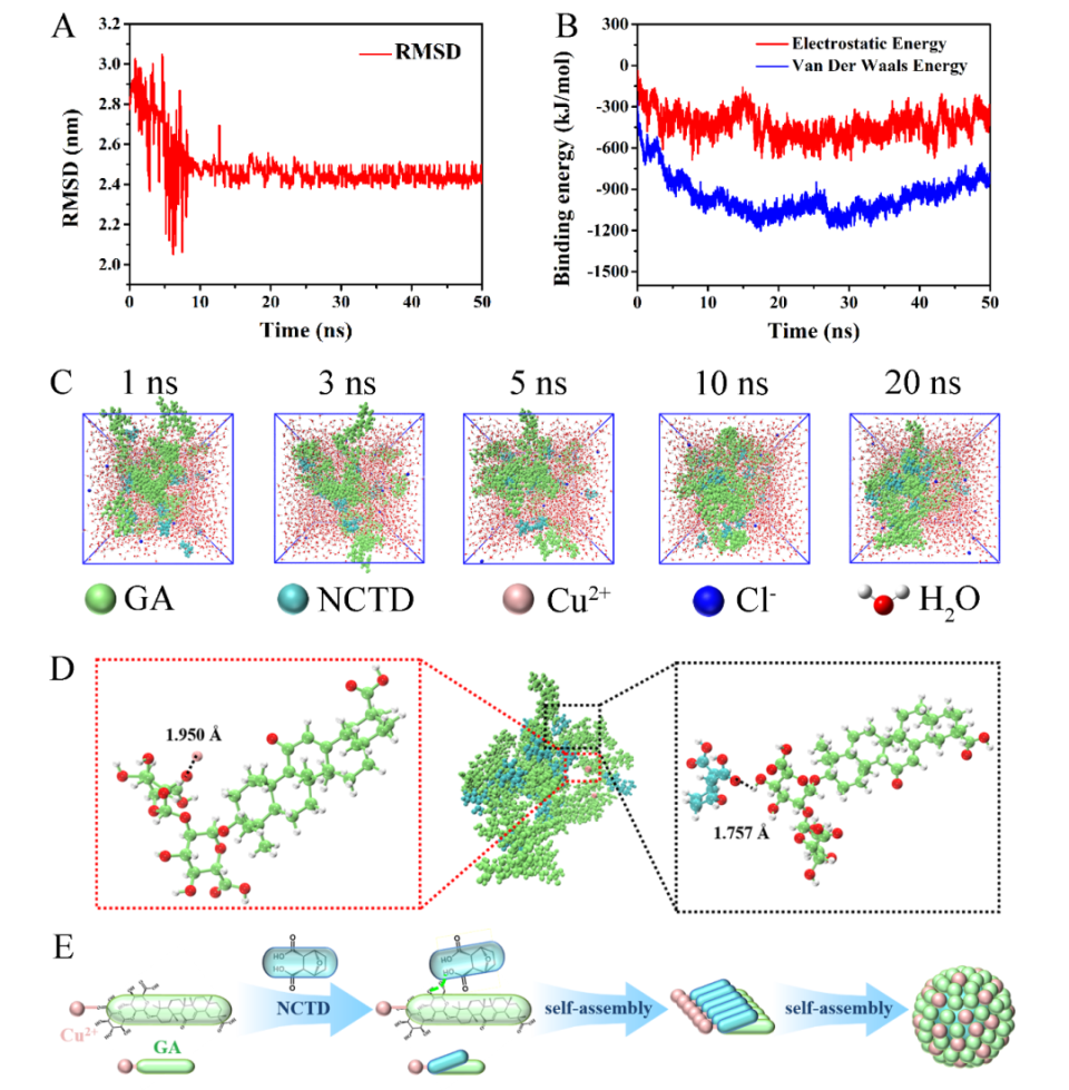 《Bioact. Mater.》北京中医药大学王鹏龙：天然小分子无载体可注射水凝胶实现激光介导的光-类芬顿抗肿瘤治疗_腾讯新闻