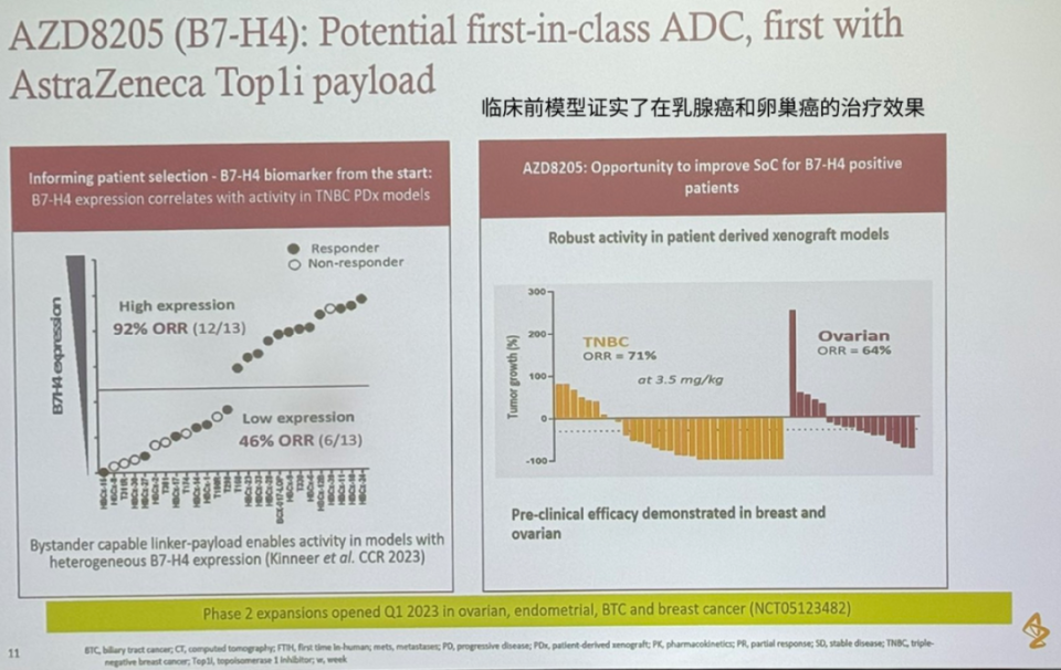 2024年ESMO：抗体偶联药AZD8205 的首次人体临床试验数据公布，多个肿瘤类型迎来新希望！_腾讯新闻