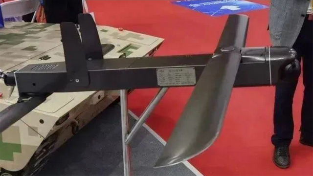 央视发布视频：海拔4600米处，国产巡飞弹精准打击_腾讯新闻