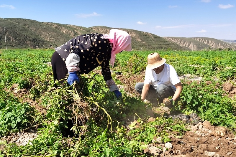 宁夏：科技赋能产业 驱动乡村振兴_腾讯新闻