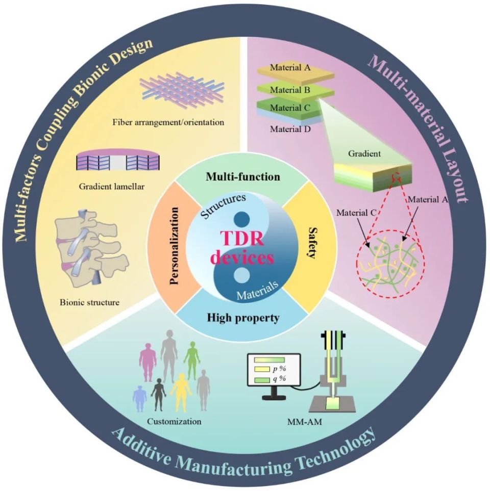 2.8万字！吉林大学任露泉院士团队《Prog. Mater. Sci.》顶刊综述：全椎间盘置换植入体的结构、材料、制造和性能_腾讯新闻
