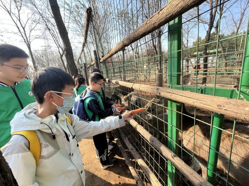 采摘果蔬、摸鸡蛋、投喂小动物…通州这些宝藏打卡地假期快来~_腾讯新闻