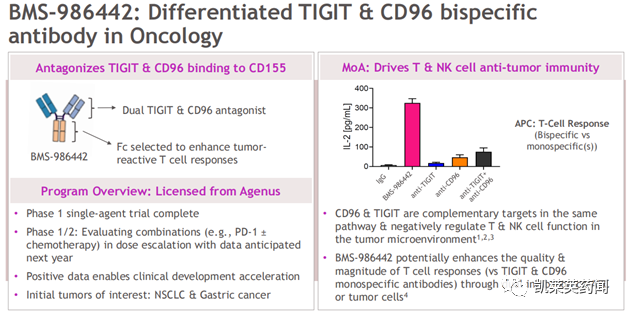 BMS超15亿美元引入的靶向TIGIT/CD96双抗，即将公布临床前数据！_腾讯新闻