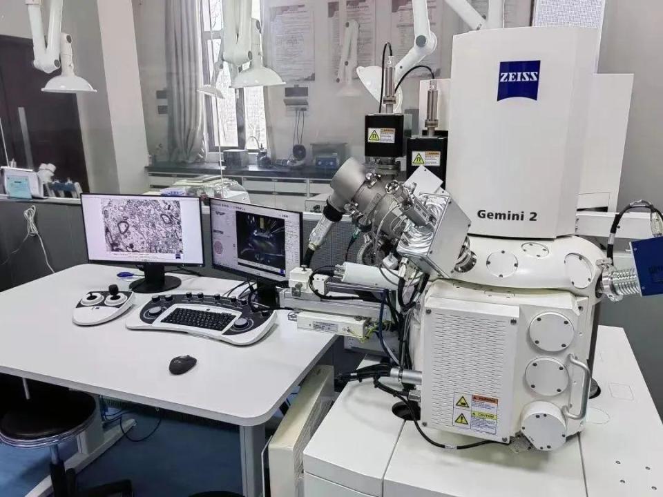 重磅引才丨@2025海外优青，山东大学微生物改造技术全国重点实验室（研究院）等您加盟！推广_腾讯新闻