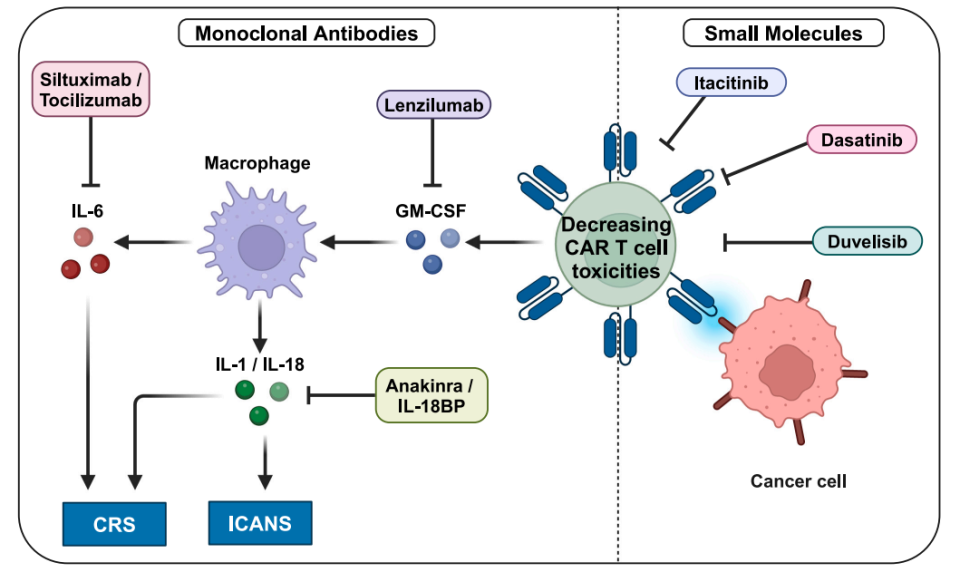 “CAR-T之父”重磅解读：强强联手治疗多种癌症！6项策略让CAR-T更高效_腾讯新闻