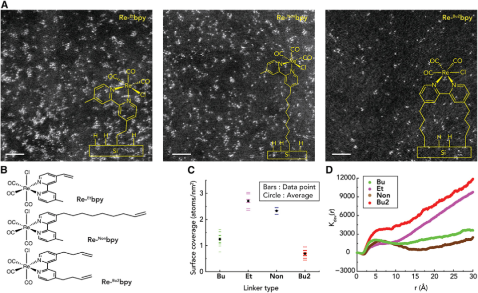 北京大学高鹏评述：Eric A. Stach等利用HAADF-STEM与机器学习确定固定化分子催化剂的表面覆盖和分布率_腾讯新闻
