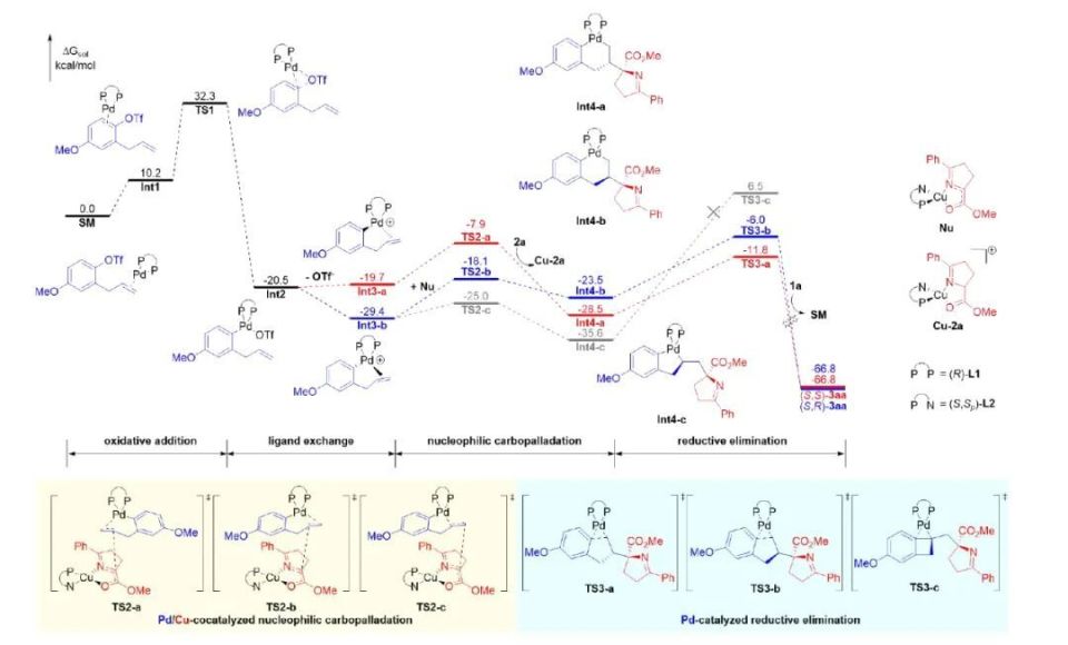 上海交通大学张万斌JACS：Pd/Cu协同催化Wacker-Type的立体发散性双碳官能化反应_腾讯新闻