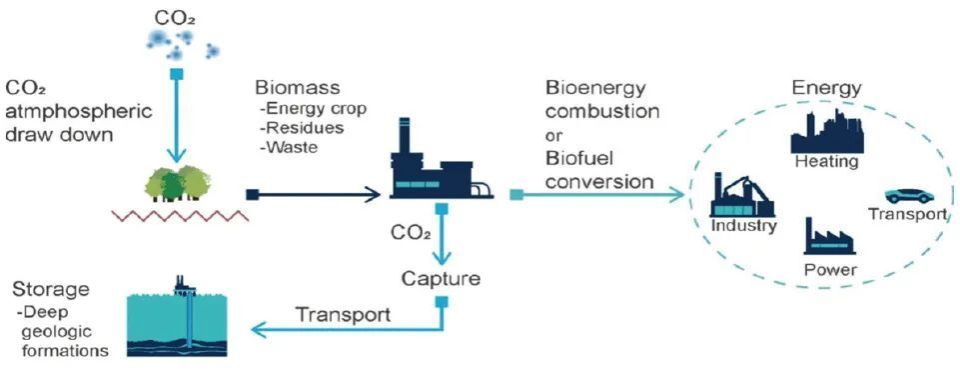 十大变革科技 | 生物质能碳捕集与封存技术：减缓气候变化的负排放_腾讯新闻