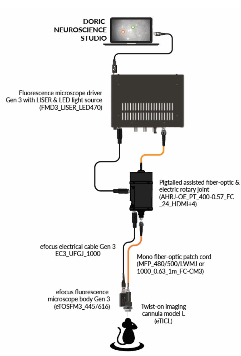 脑声常谈丨头戴式荧光显微成像技术：推进自由活动小鼠的神经科学研究_腾讯新闻