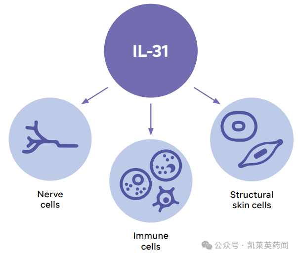 全球首款IL-31药物获FDA批准上市！结节性痒疹患者终迎创新疗法_腾讯新闻