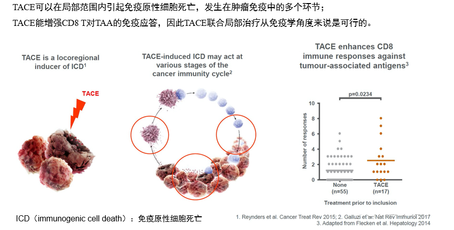 TACE+靶免治疗肝细胞癌全球III期成功，汇总TACE研究_腾讯新闻