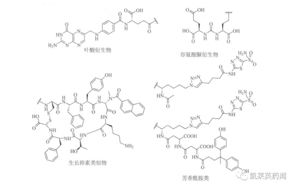 全球首款！同宜医药双配体偶联药物CBP-1008获FDA授予快速通道认定_腾讯新闻