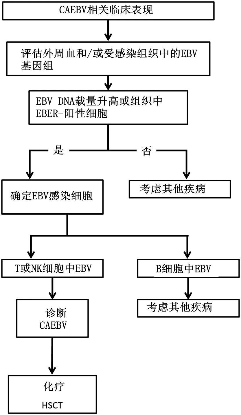 慢性活动性EB病毒病的“三步疗法”_腾讯新闻